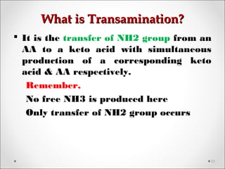 Metabolism of protein | PPT