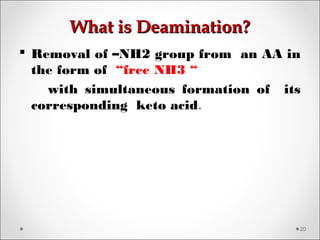 Metabolism of protein | PPT