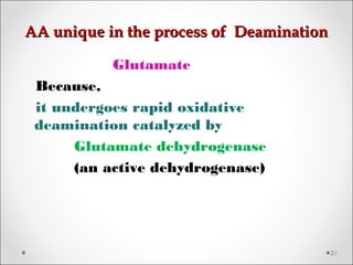 Metabolism of protein | PPT
