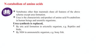 METABOLISM OF PROTIENS AND AMINO ACIDS-1.pptx