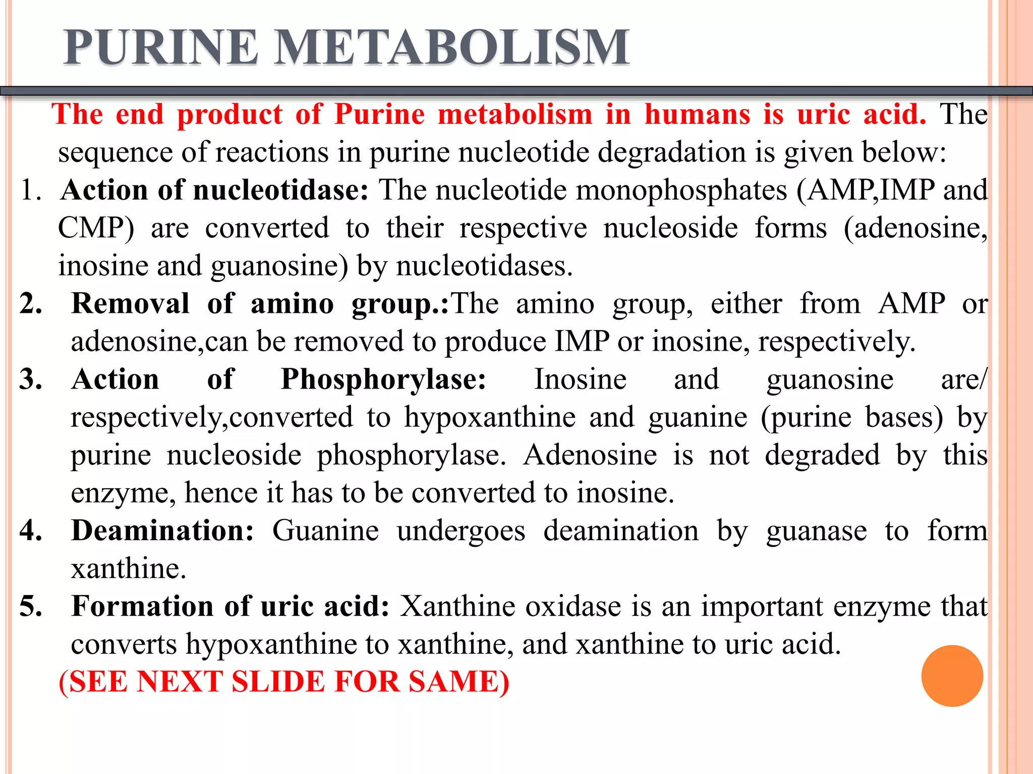 metabolism of purines and Gout.pptx