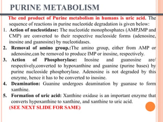 metabolism of purines and Gout.pptx