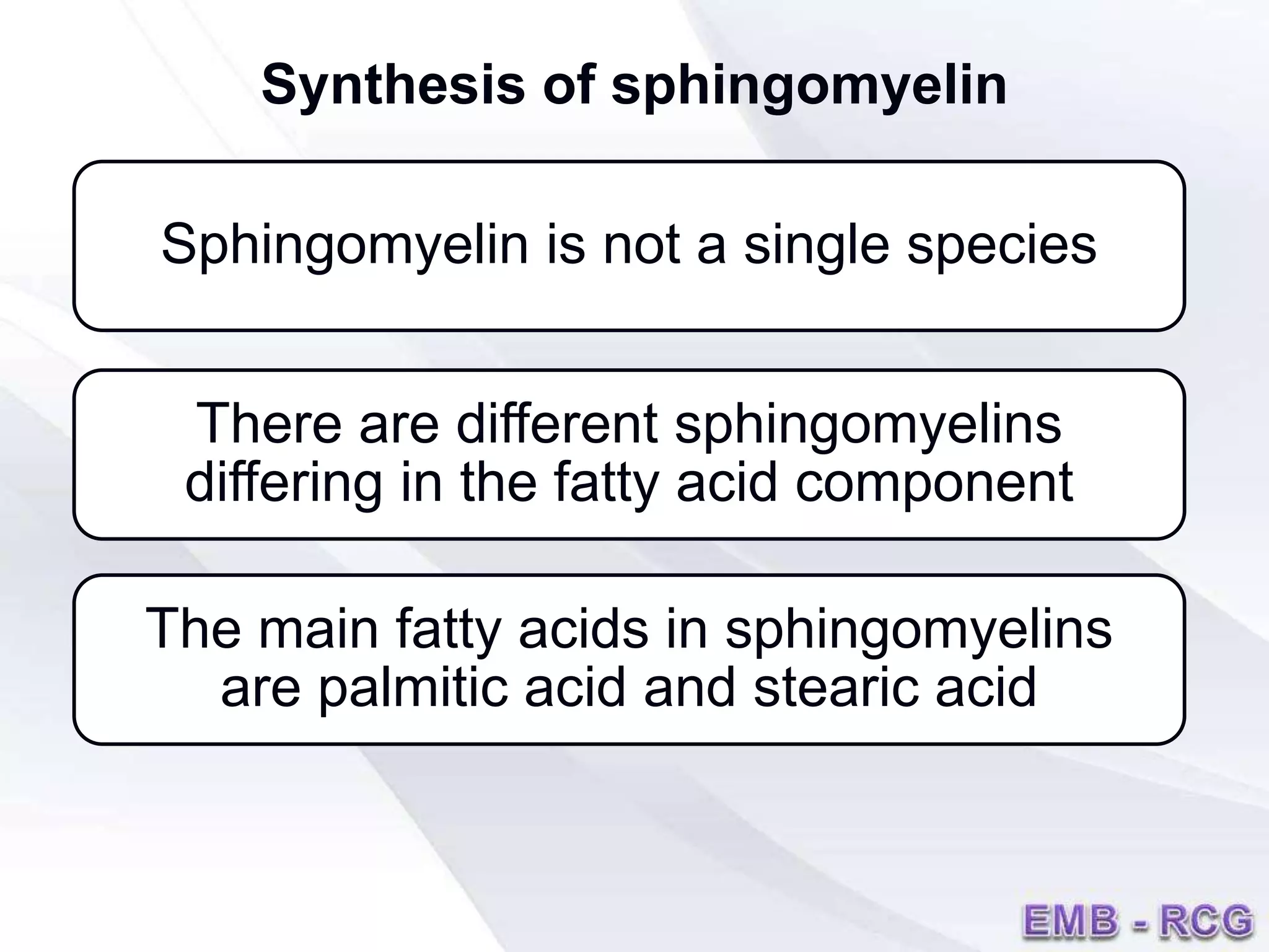 Metabolism of sphingolipids | PPTX