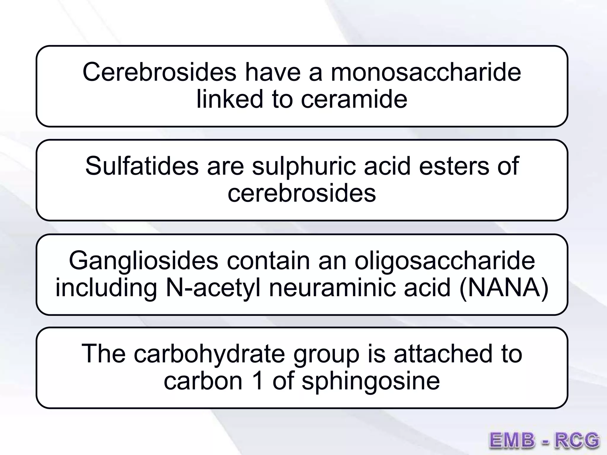 Metabolism of sphingolipids | PPTX