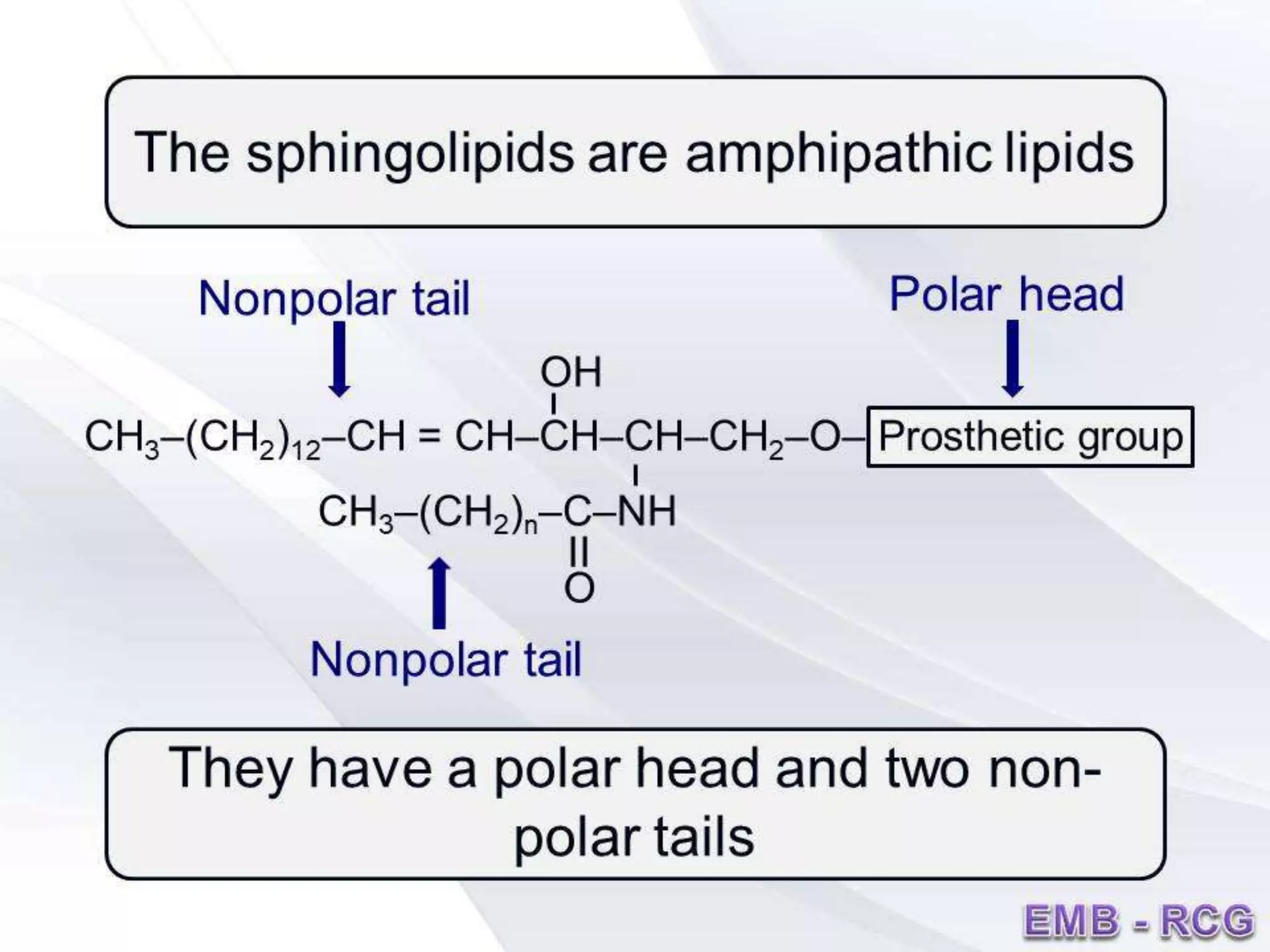 Metabolism of sphingolipids | PPTX