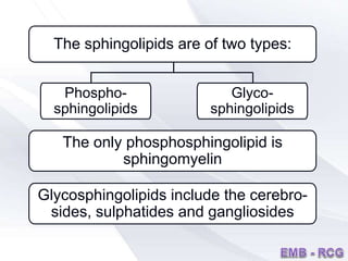 Metabolism of sphingolipids | PPTX