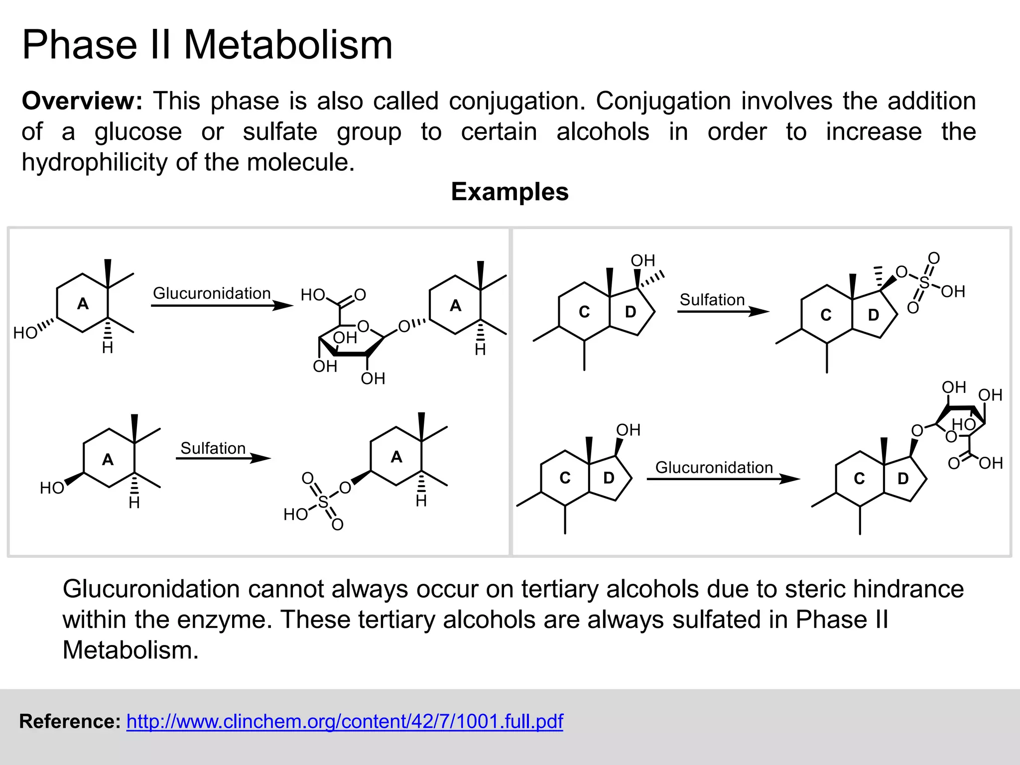 Metabolism of steroids | PPTX