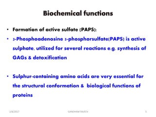 METABOLISM OF SULFUR, IODINE, MANGANESE,FLUORINE & SELENIUM | PPTX