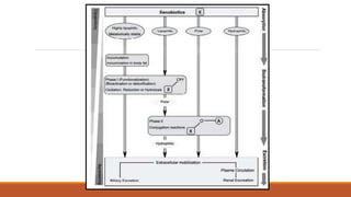 Metabolism of synthetic pyrethroids | PPTX