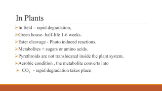 Metabolism of synthetic pyrethroids | PPTX