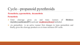 Metabolism of synthetic pyrethroids | PPTX
