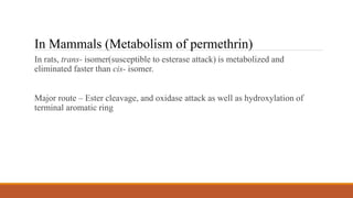 Metabolism of synthetic pyrethroids | PPTX