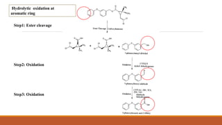 Metabolism of synthetic pyrethroids | PPTX