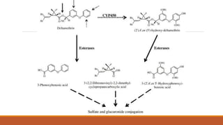 Metabolism of synthetic pyrethroids | PPTX