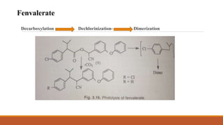 Metabolism of synthetic pyrethroids | PPTX