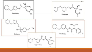 Metabolism of synthetic pyrethroids | PPTX