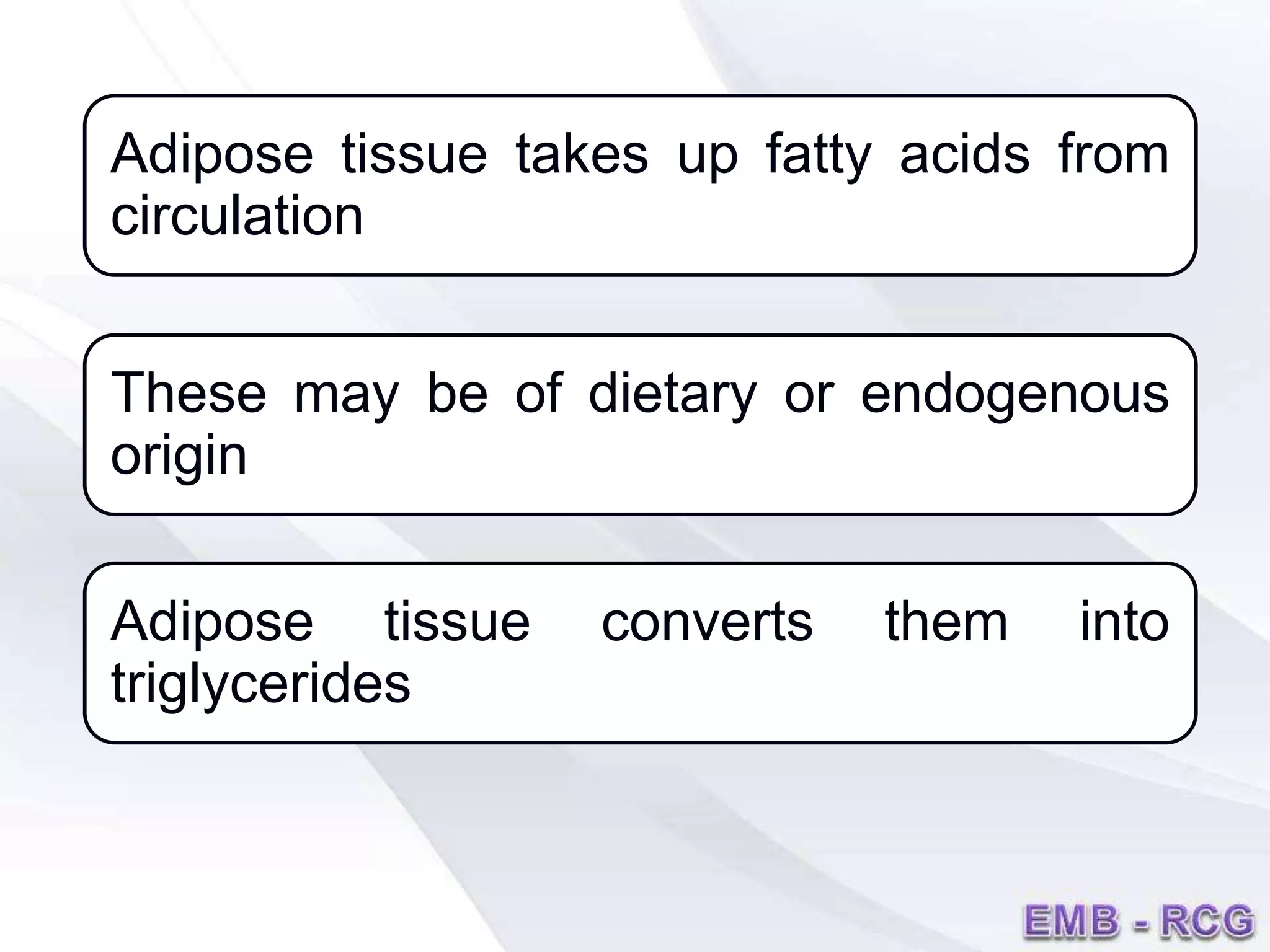 Metabolism of triglycerides | PPTX