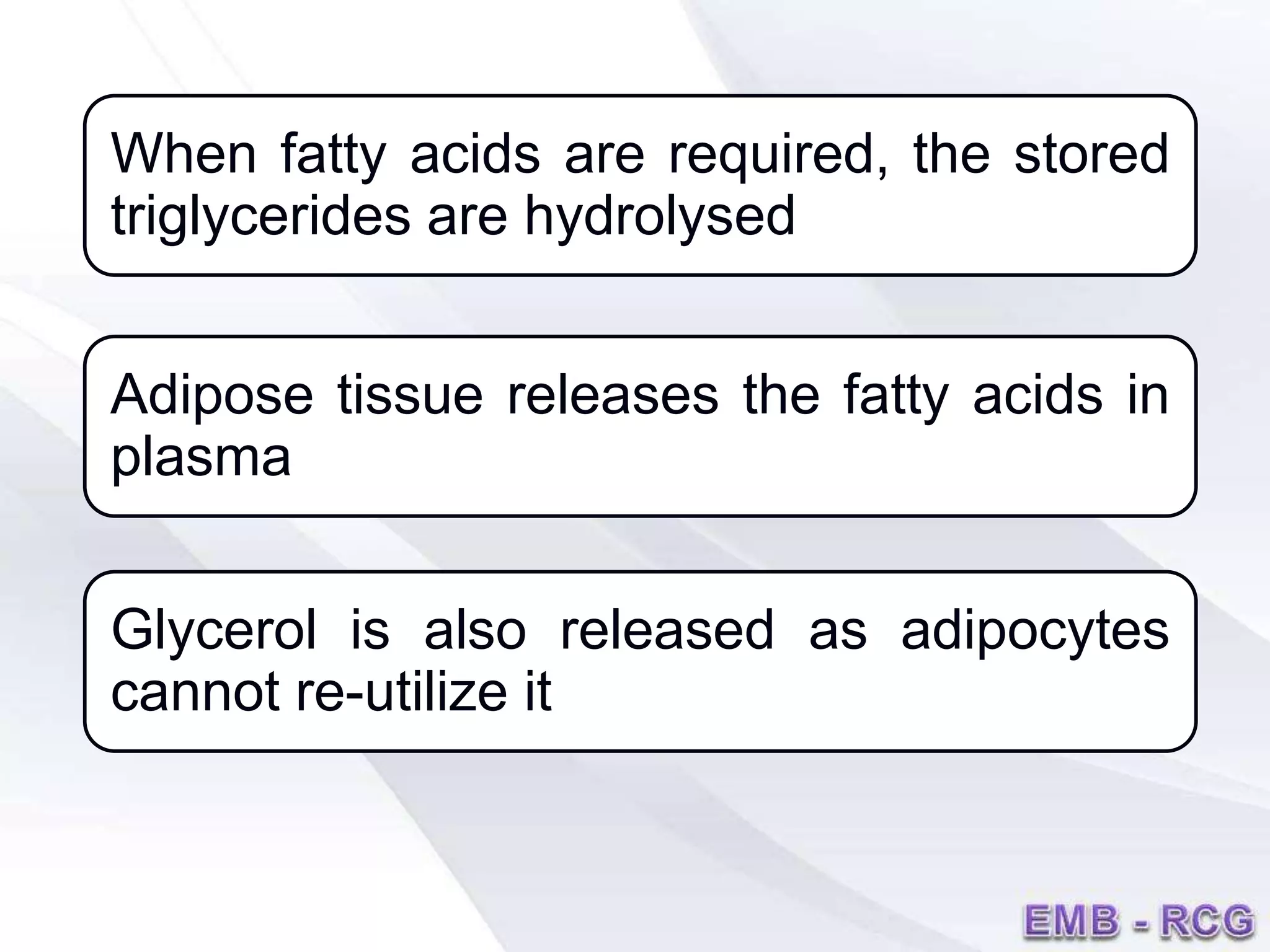 Metabolism of triglycerides | PPTX