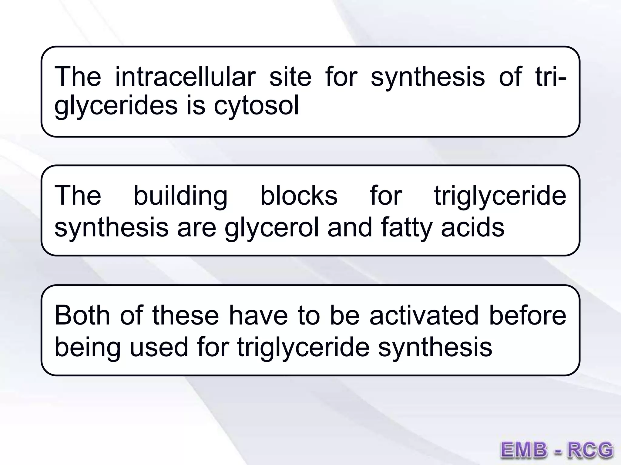 Metabolism of triglycerides | PPTX | Endocrine and Metabolic Diseases ...