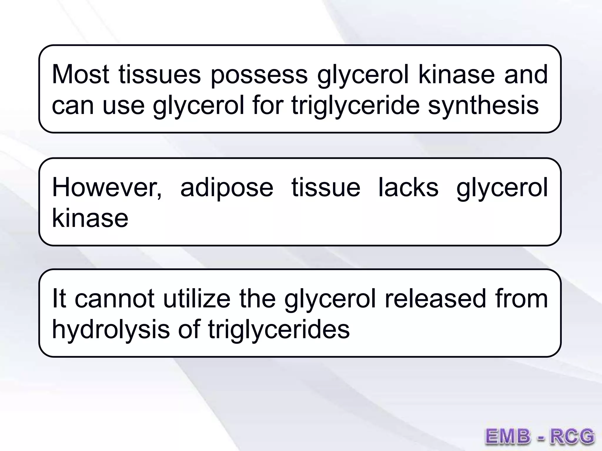 Metabolism of triglycerides | PPTX