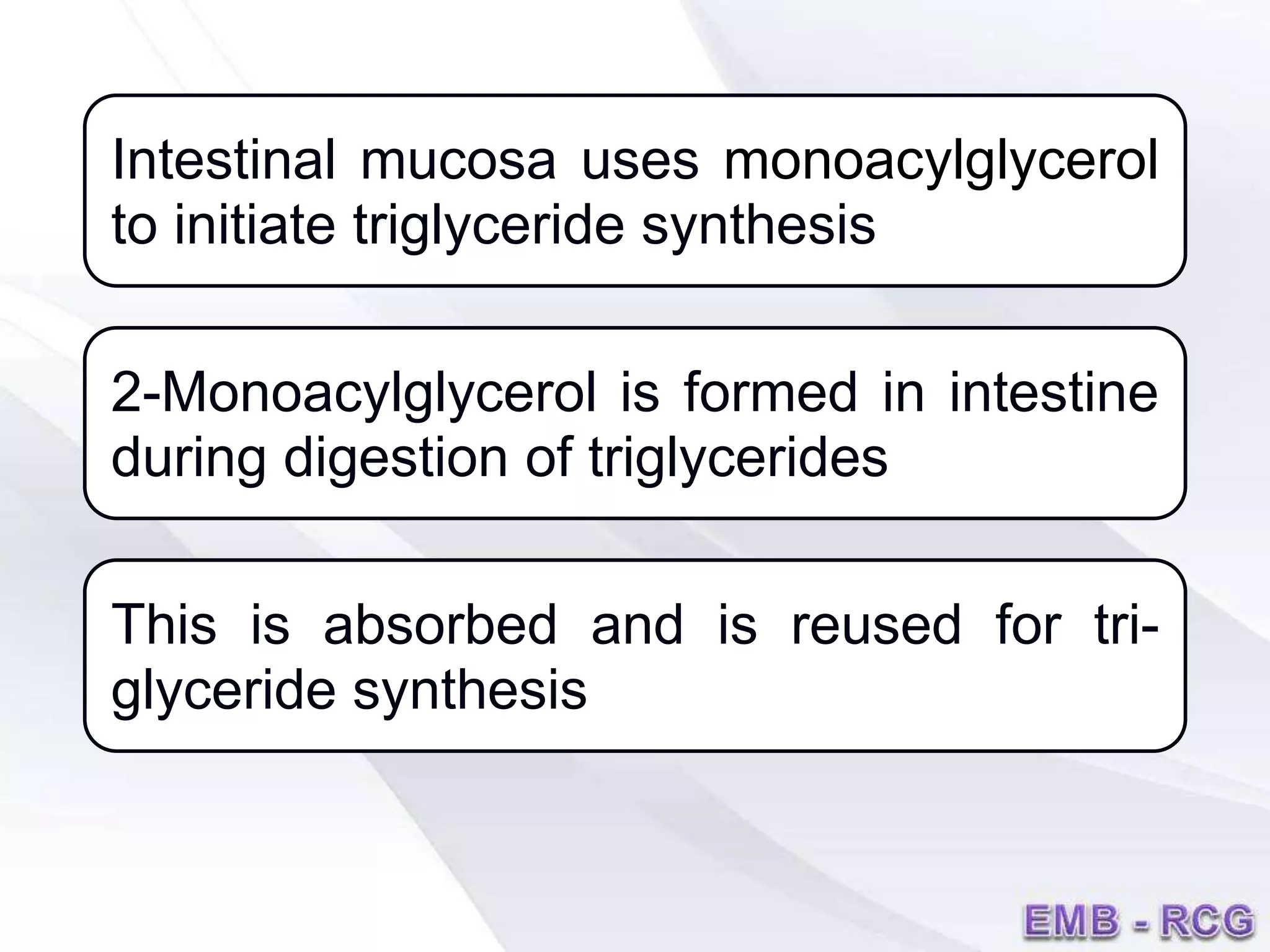Metabolism of triglycerides | PPTX