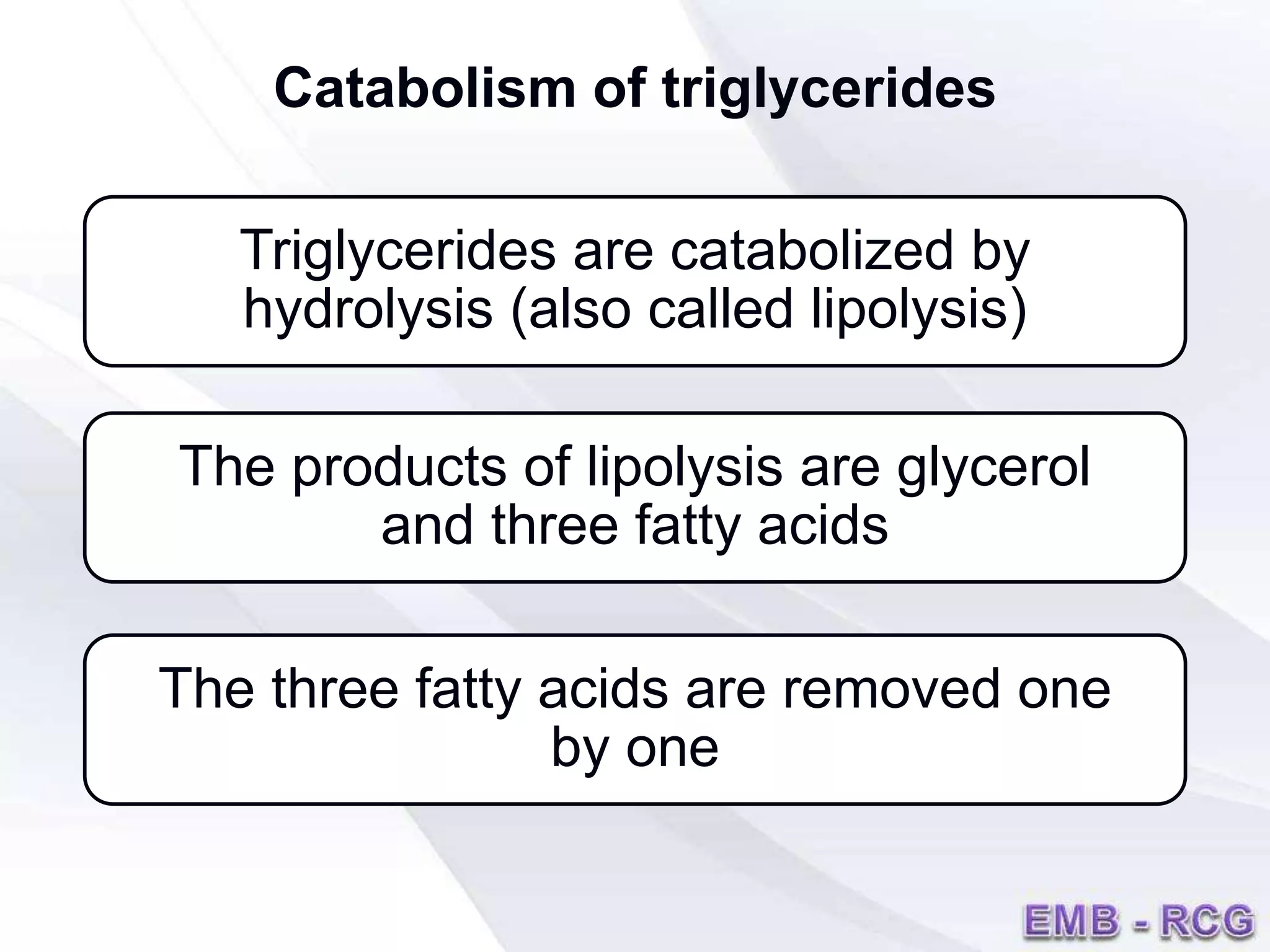 Metabolism of triglycerides | PPTX
