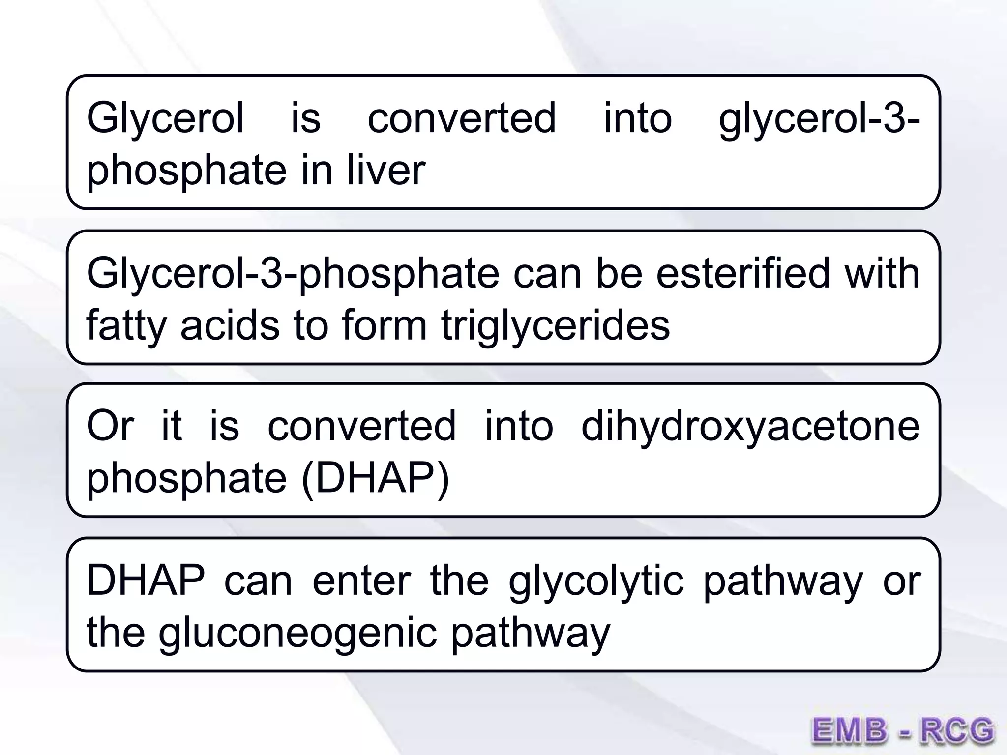 Metabolism of triglycerides | PPTX