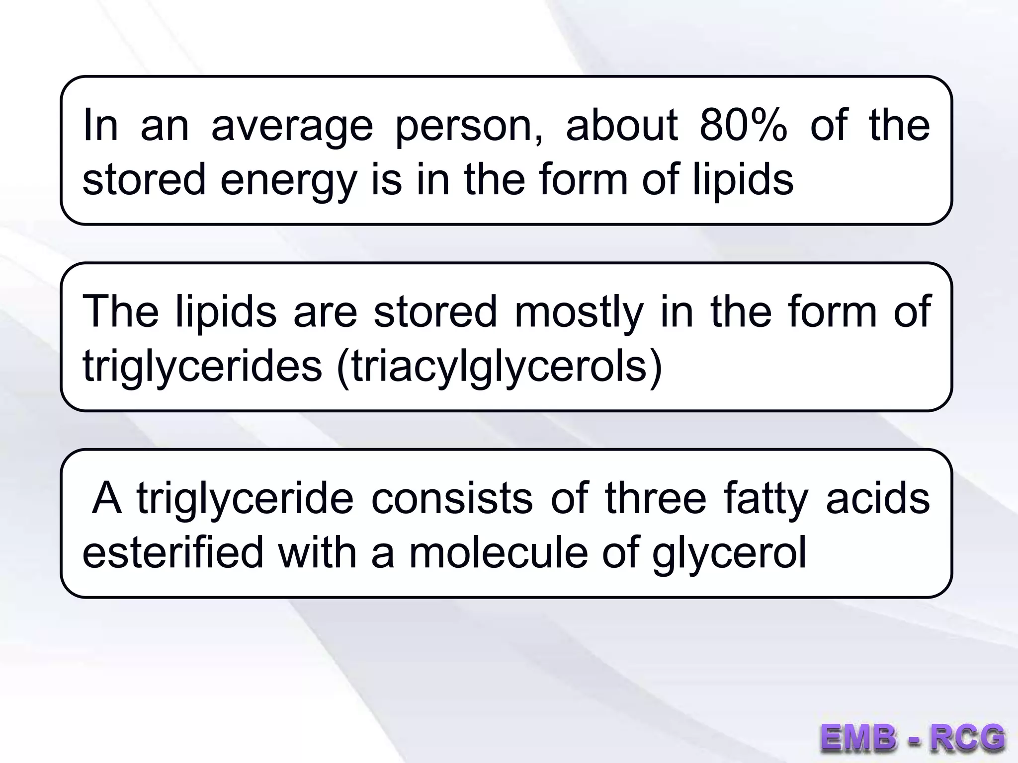 Metabolism of triglycerides | PPTX | Endocrine and Metabolic Diseases ...