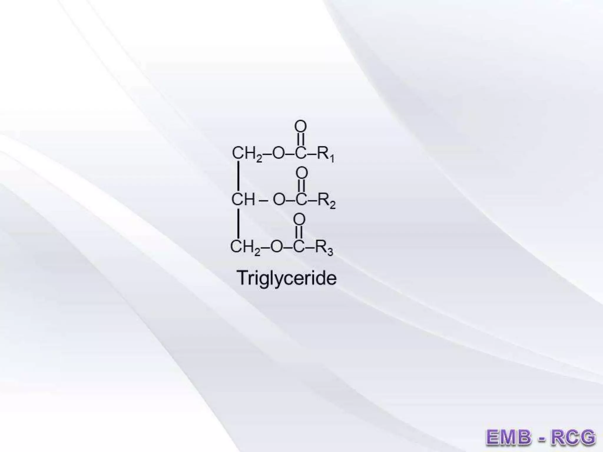 Metabolism of triglycerides | PPTX | Endocrine and Metabolic Diseases ...
