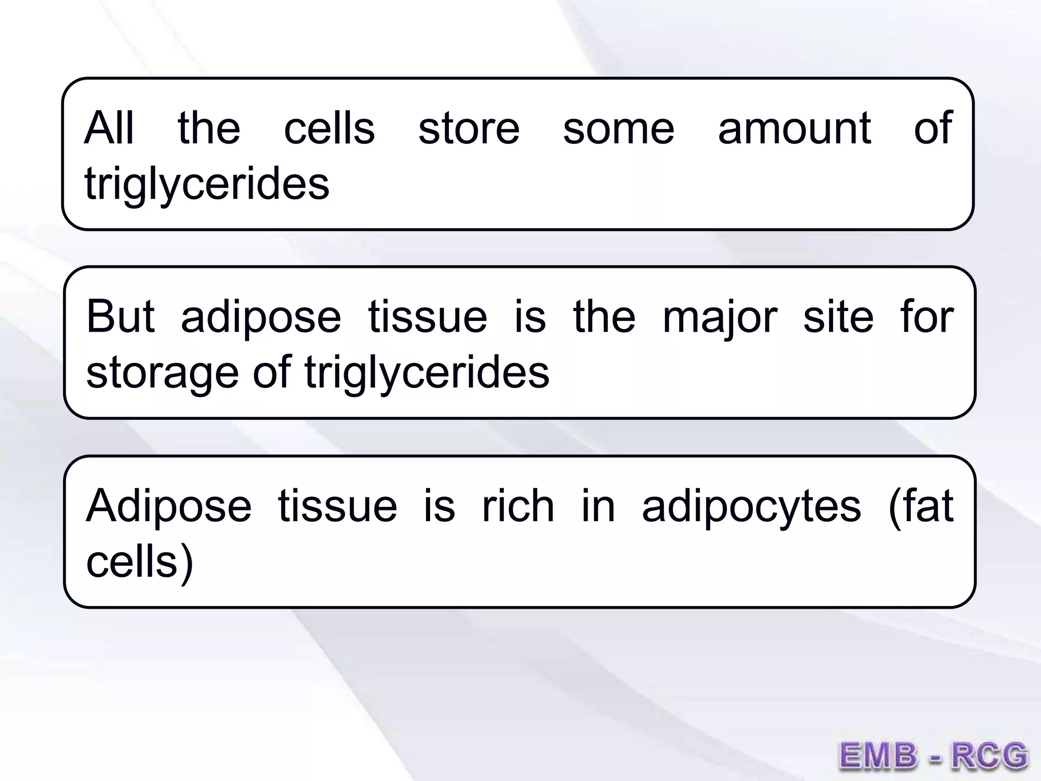 Metabolism of triglycerides | PPTX