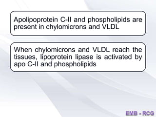 Metabolism of triglycerides | PPTX
