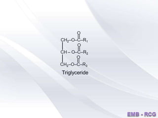 Metabolism of triglycerides | PPTX