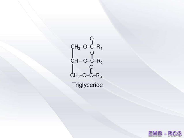 Metabolism of triglycerides | PPTX | Endocrine and Metabolic Diseases | Diseases and Conditions