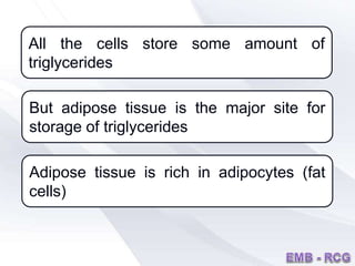 Metabolism of triglycerides | PPTX