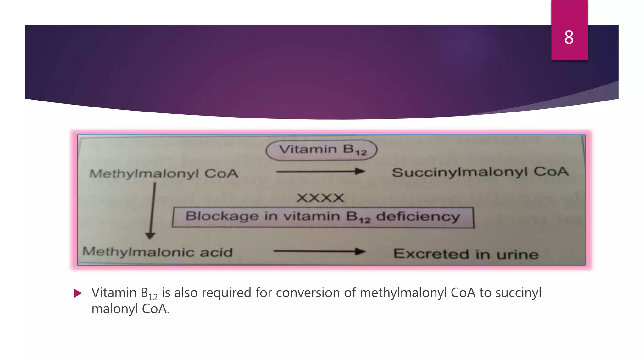 Metabolism of Vitamin B12 and Folic Acid | PPTX