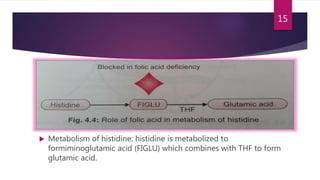 Metabolism of Vitamin B12 and Folic Acid | PPTX