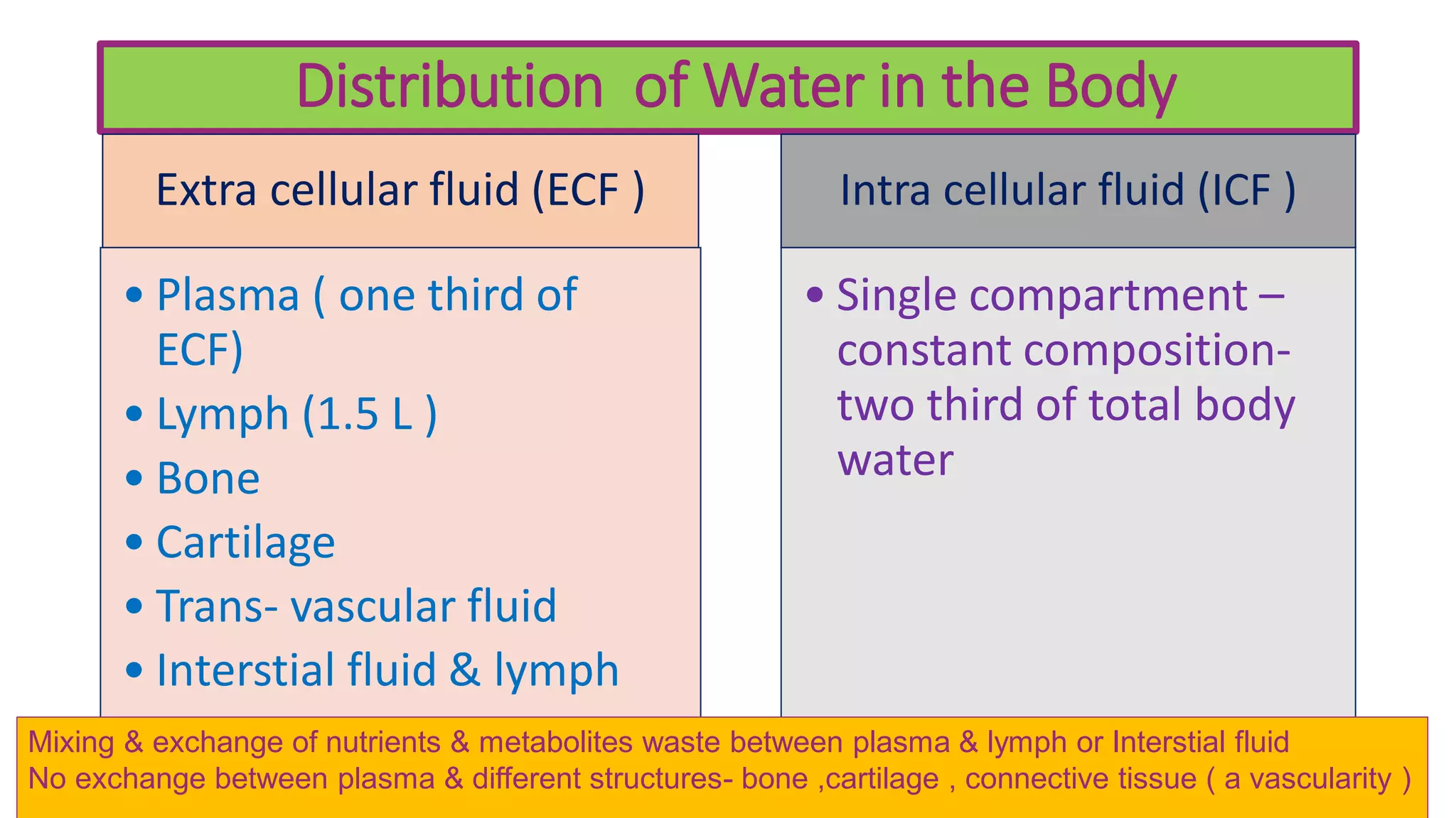 Metabolism of water and its clinical significance | PDF