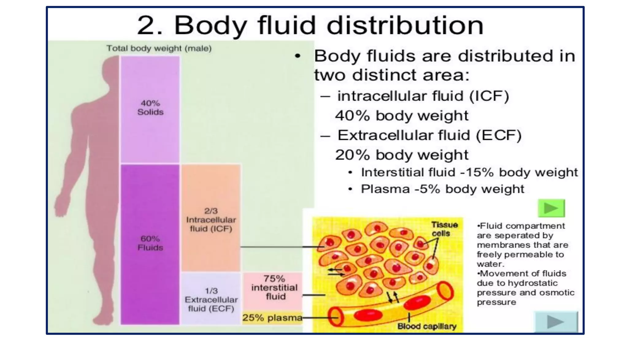 Metabolism of water and its clinical significance | PDF