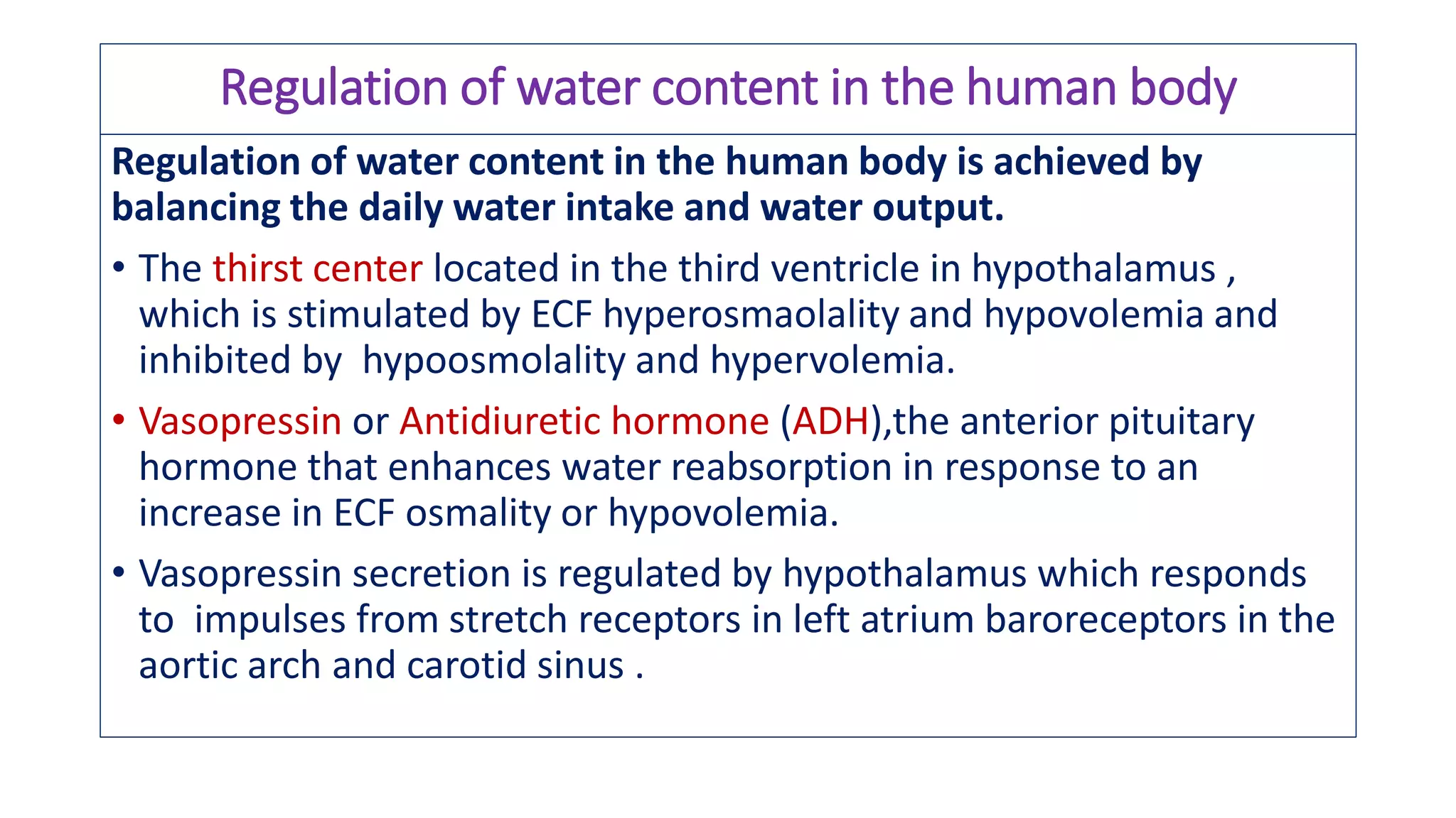 Metabolism of water and its clinical significance | PDF