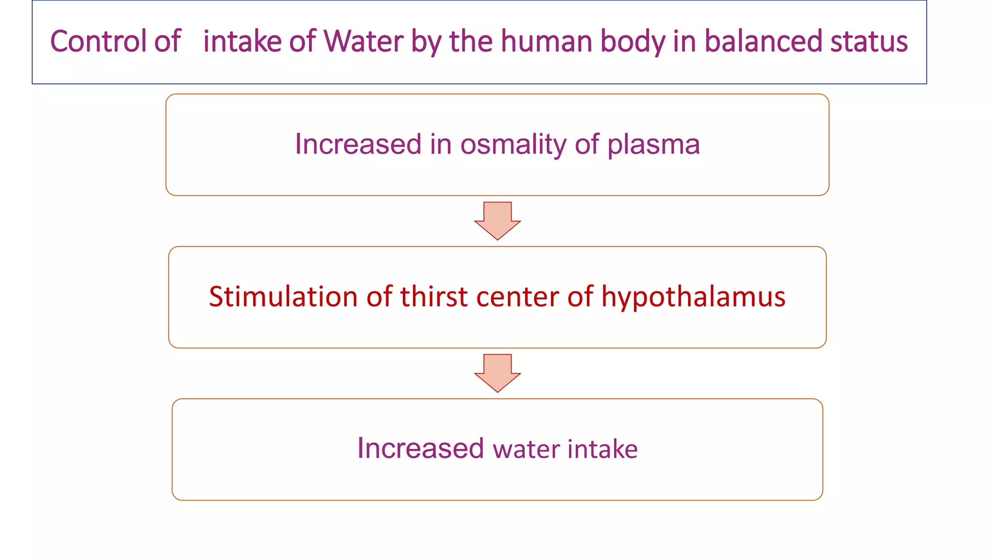 Metabolism of water and its clinical significance | PDF