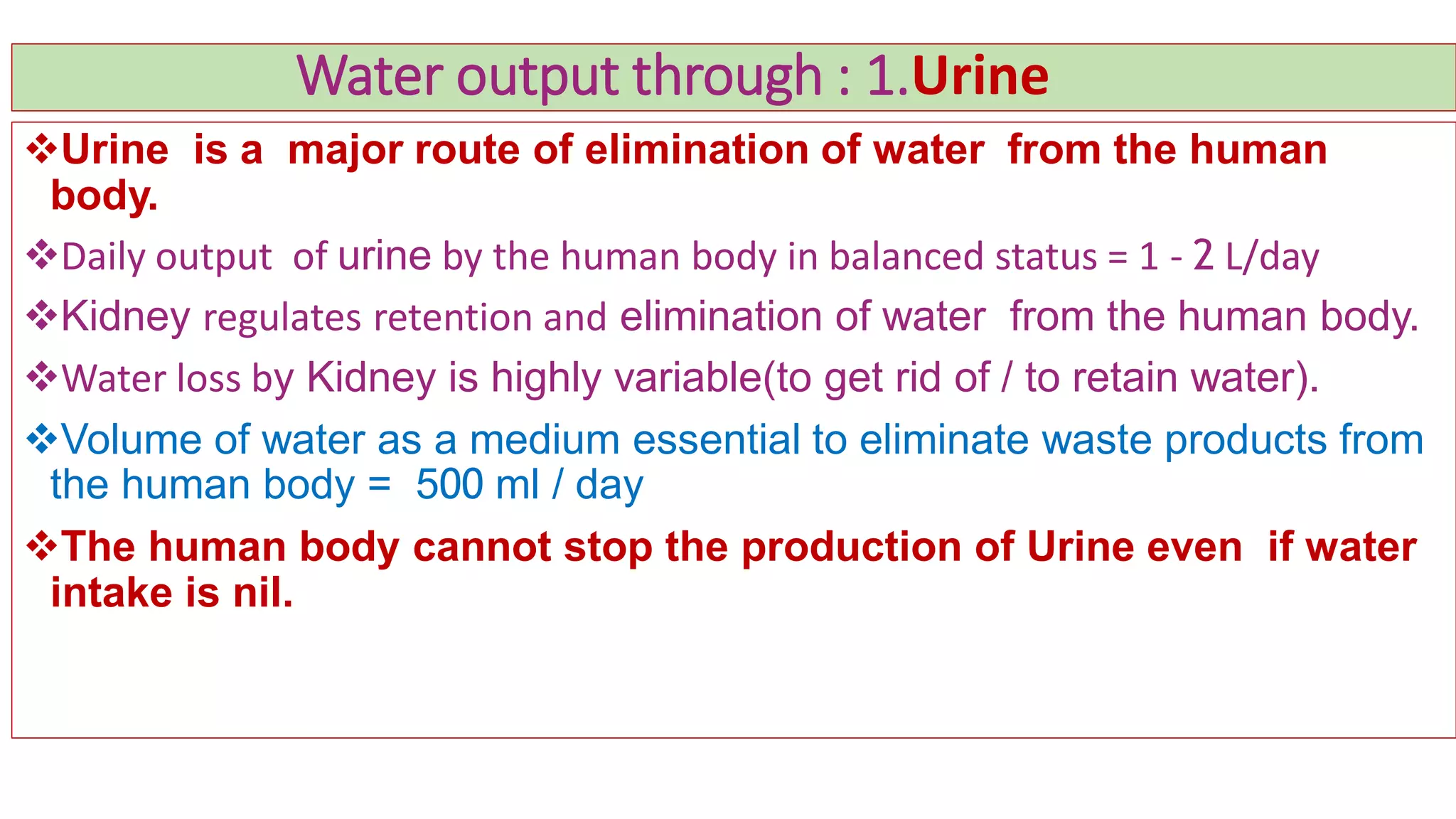 Metabolism of water and its clinical significance | PDF