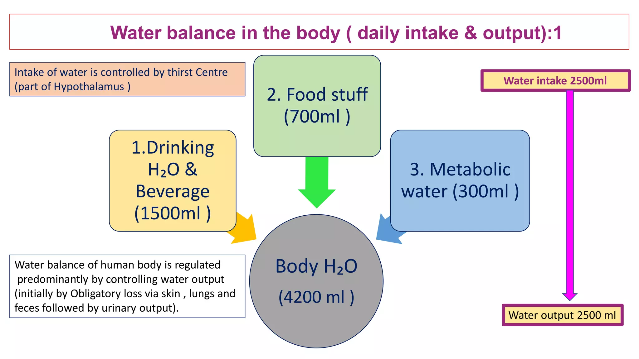 Metabolism of water and its clinical significance | PDF
