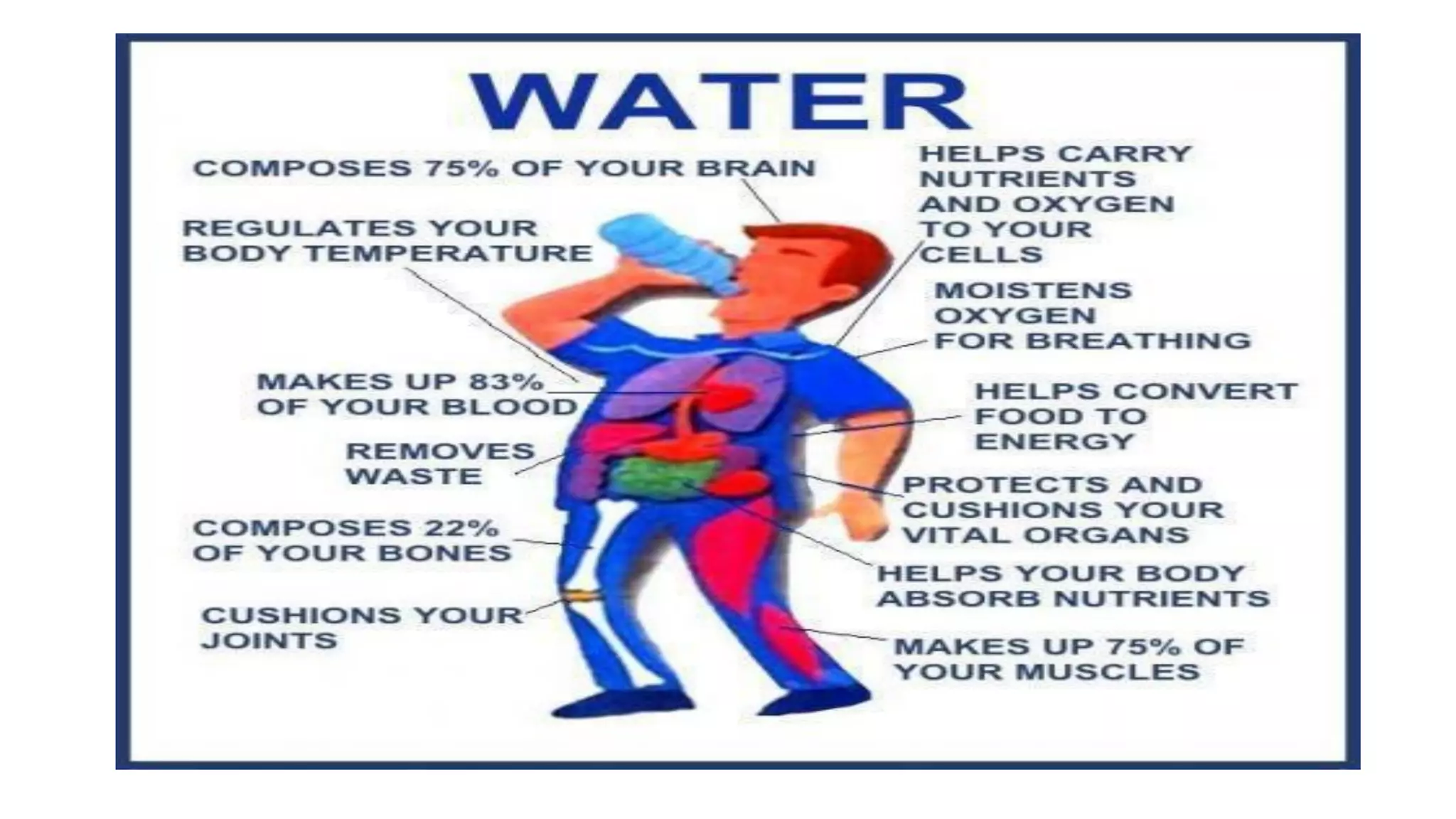 Metabolism of water and its clinical significance | PDF