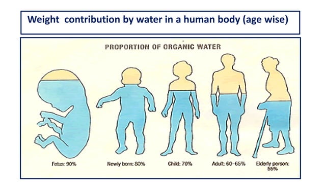 Metabolism of water and its clinical significance | PDF