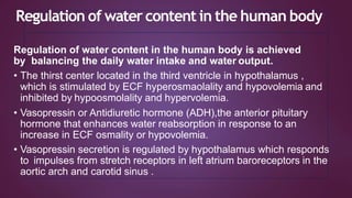 Metabolism of water and its clinical significance | PPTX