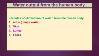 Metabolism of water and its clinical significance | PPTX