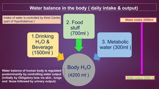 Metabolism of water and its clinical significance | PPTX