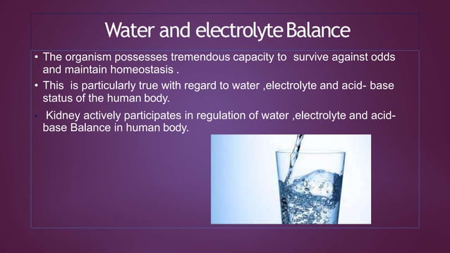 Metabolism of water and its clinical significance | PPTX