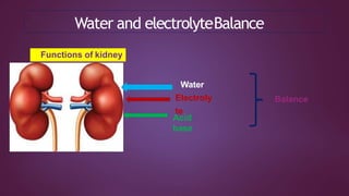 Metabolism of water and its clinical significance | PPTX