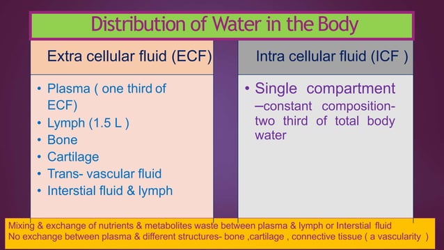 Metabolism of water and its clinical significance | PPTX